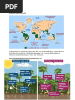 Lesson 10: Forest Ecosystem Overview | PDF | Trees | Rainforest