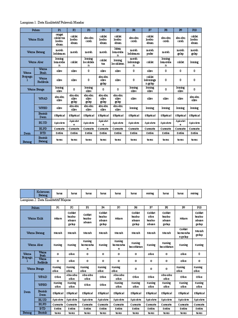 Lampiran Tabel | PDF | Communications Protocols | Internet Protocols
