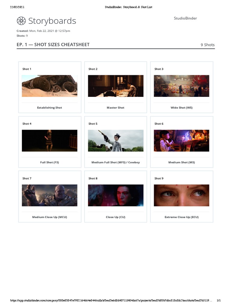 StudioBinder - Storyboard & Shot List | PDF