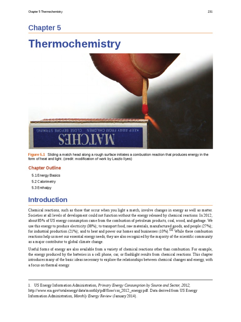 Thermochemistry: Energy and Heat Basics | PDF | Calorie | Heat