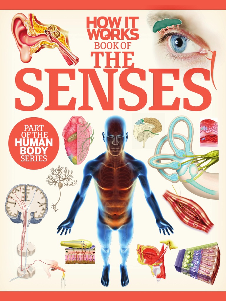 How It Works Book of The Senses - First Edition 2020 UserUpload Net | PDF