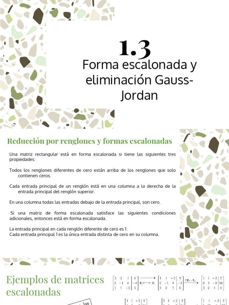 1.3 Forma Escalonada y Eliminación Gauss-Jordan | PDF | Matriz ...
