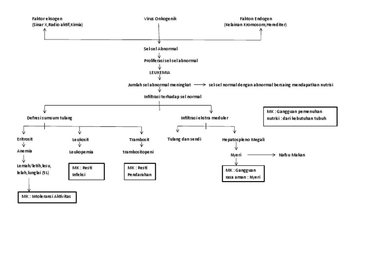 Pathway Leukemia | PDF