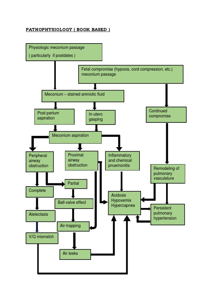 Meconium Aspiration Pathophysiology | PDF