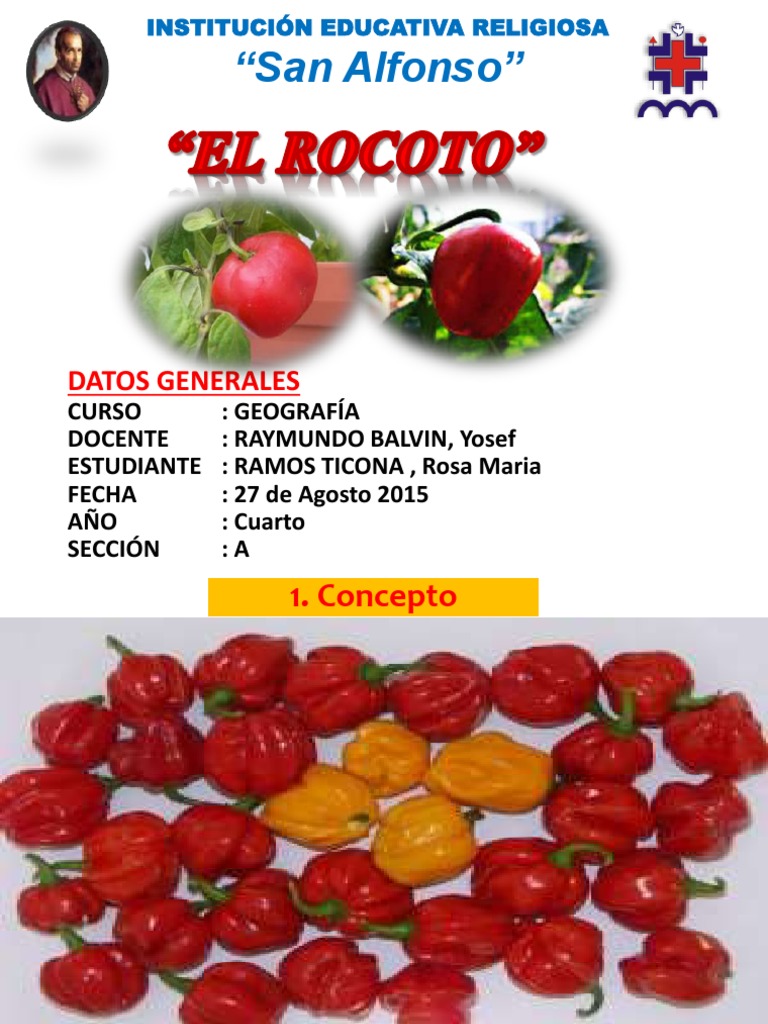El Rocoto | PDF
