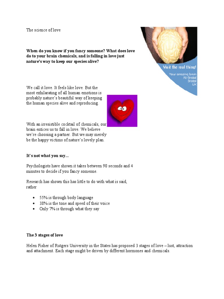 The Science of Love | PDF | Love | Emotions