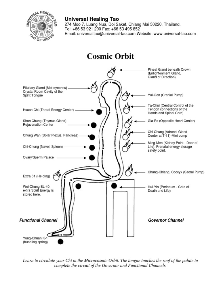 Master Chia Will You Open Microcosmic Orbit | PDF | Mantak Chia | Human ...