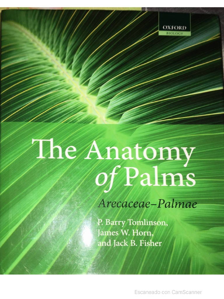 The Anatomy of Palms (Chapter 1-3) | PDF