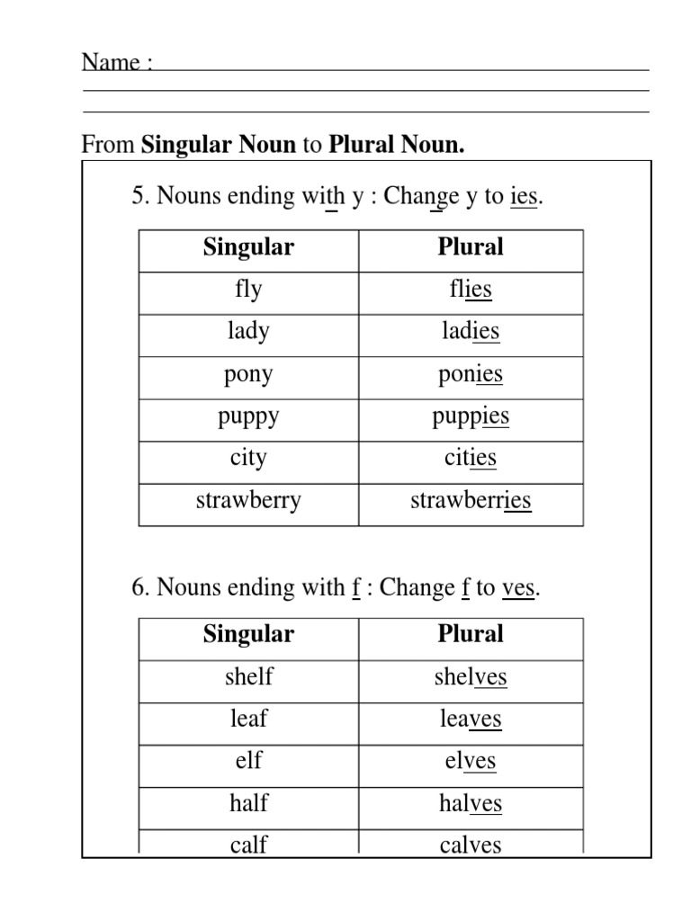 Singular Plural Ies, Ves | PDF