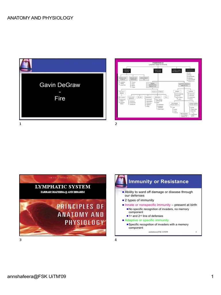 Lumphatic System Tortora DR - Compatibility Mode | PDF | Lymph Node ...