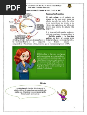 Hoja De Trabajo Sobre El Ciclo Celular: Clave De Respuestas