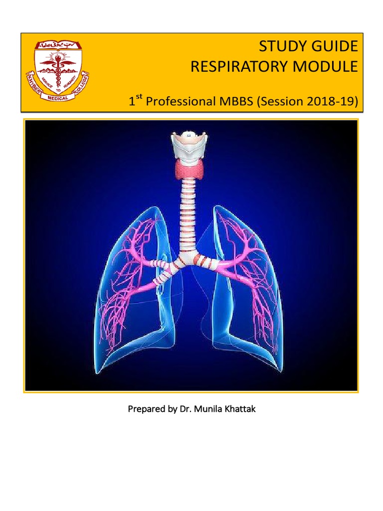 4 Respiratory Study Guide | PDF | Lung | Respiratory System