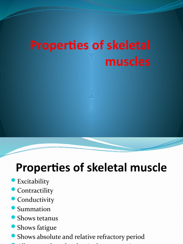 Properties of Skeletal Muscle | PDF | Motor Neuron | Muscle Contraction