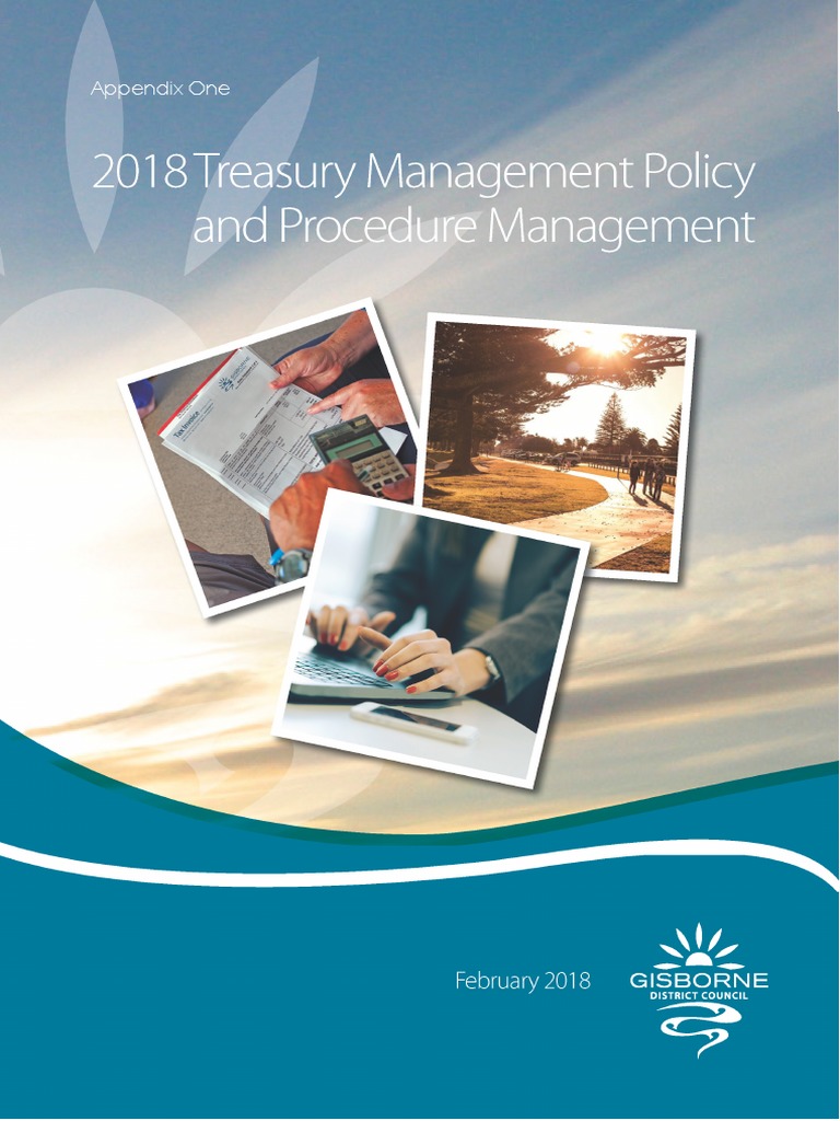 18 085 X1 Appendix Treasury Management Policy and Procedure Manual ...