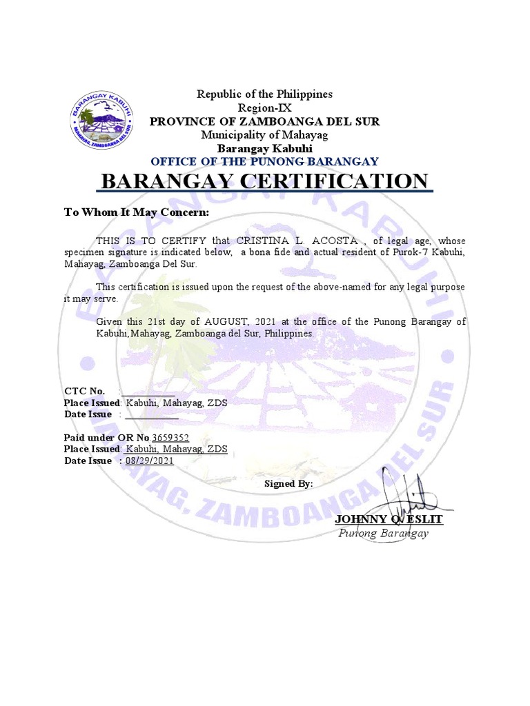 Barangay Certification - Residency 2021 SPAS-nadeth | PDF