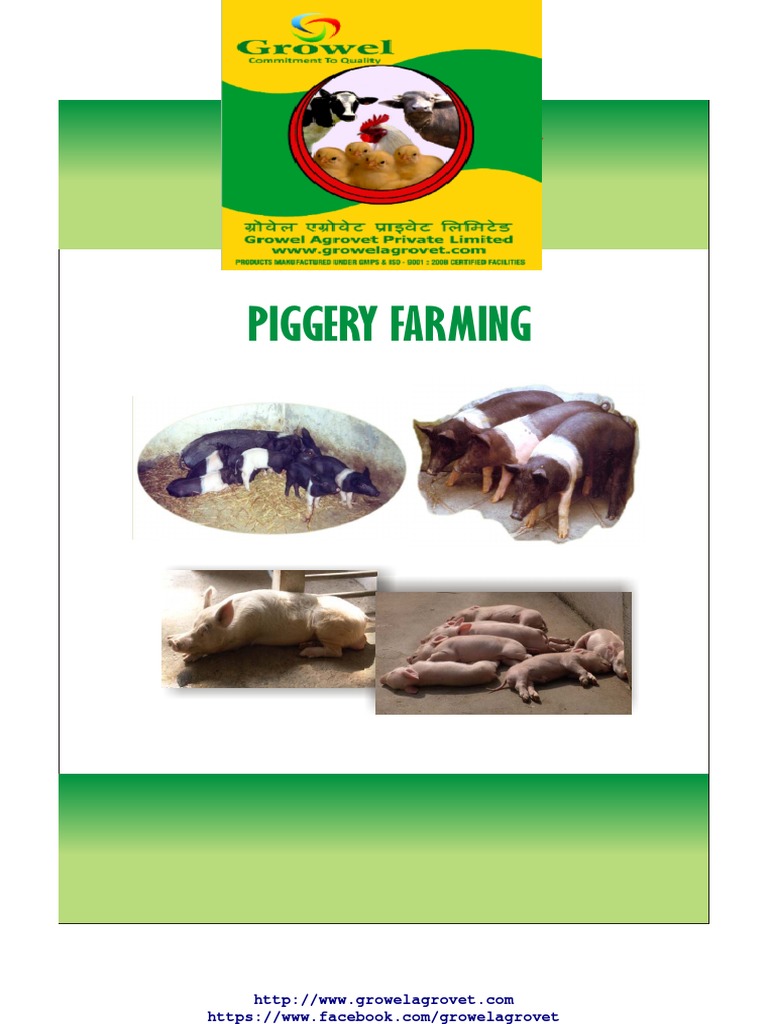Piggery Farming: Government of Sikkim | PDF | Domestic Pig | Pig