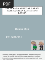 Kelompok 6 Asuhan Keperawatan Komunitas Agregat Lansia (Acc) | PDF