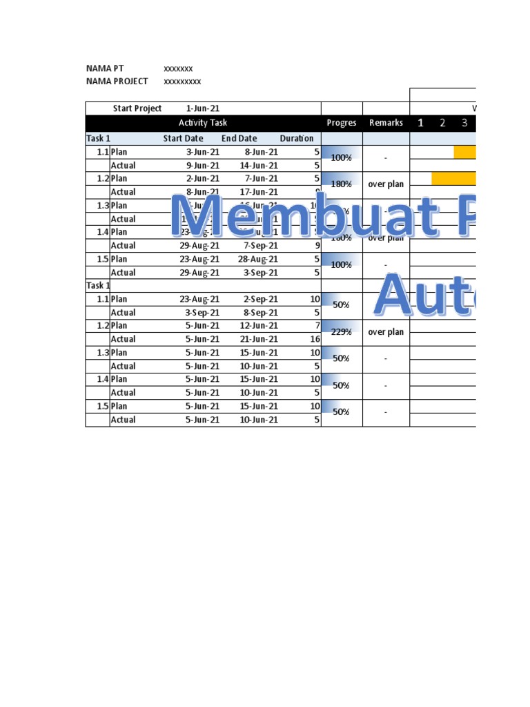 Plan Vs Actual Chart Automatis | PDF