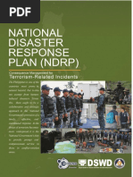 NDRRM Plan 2011-2028 | PDF | Emergency Management | Disaster Risk Reduction