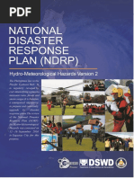 National Disaster Risk Reduction and Management Plan (NDRRMP) 2020 ...