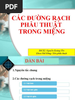 Phân Tích Phim Cephalometric Theo Ricketts 1 | PDF