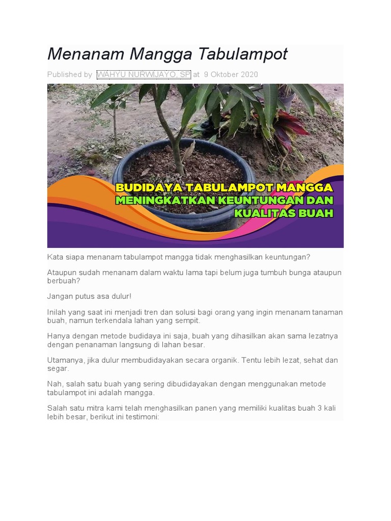 Menanam Mangga Tabulampot | PDF
