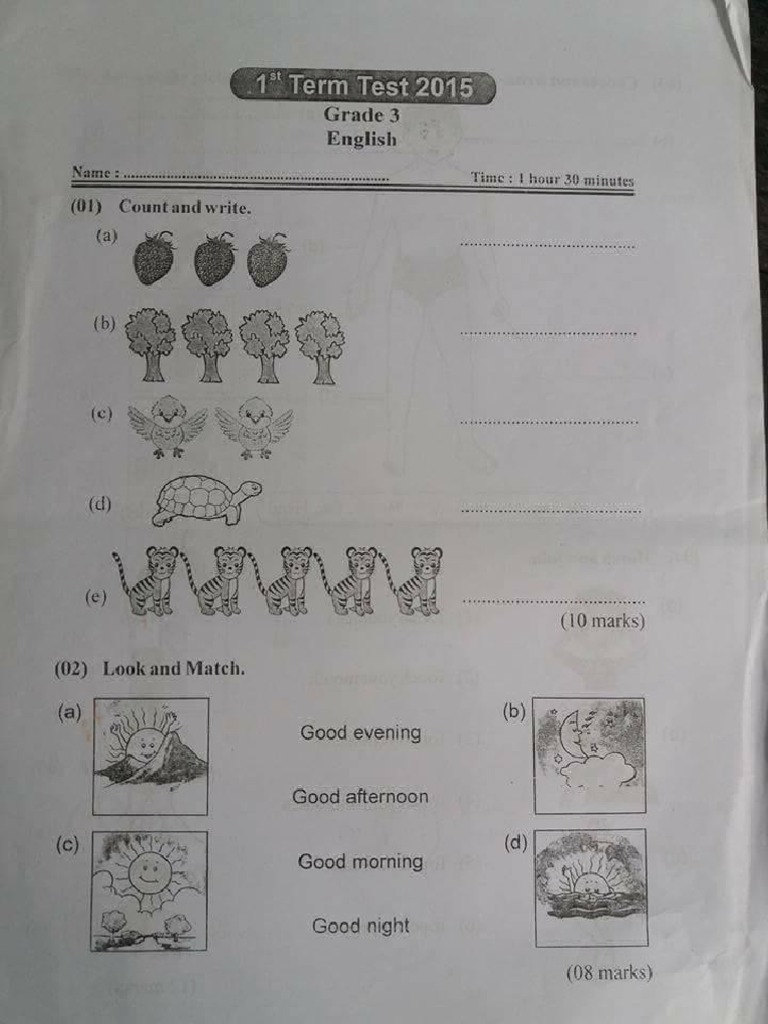 Grade 3 First Term Test (2015) | PDF