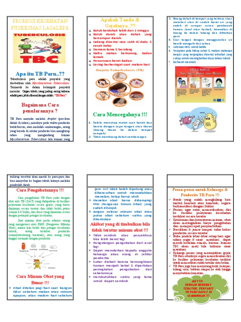 Leaflet Edukasi TB Paru Kemenkes | PDF | Kesehatan Holistik