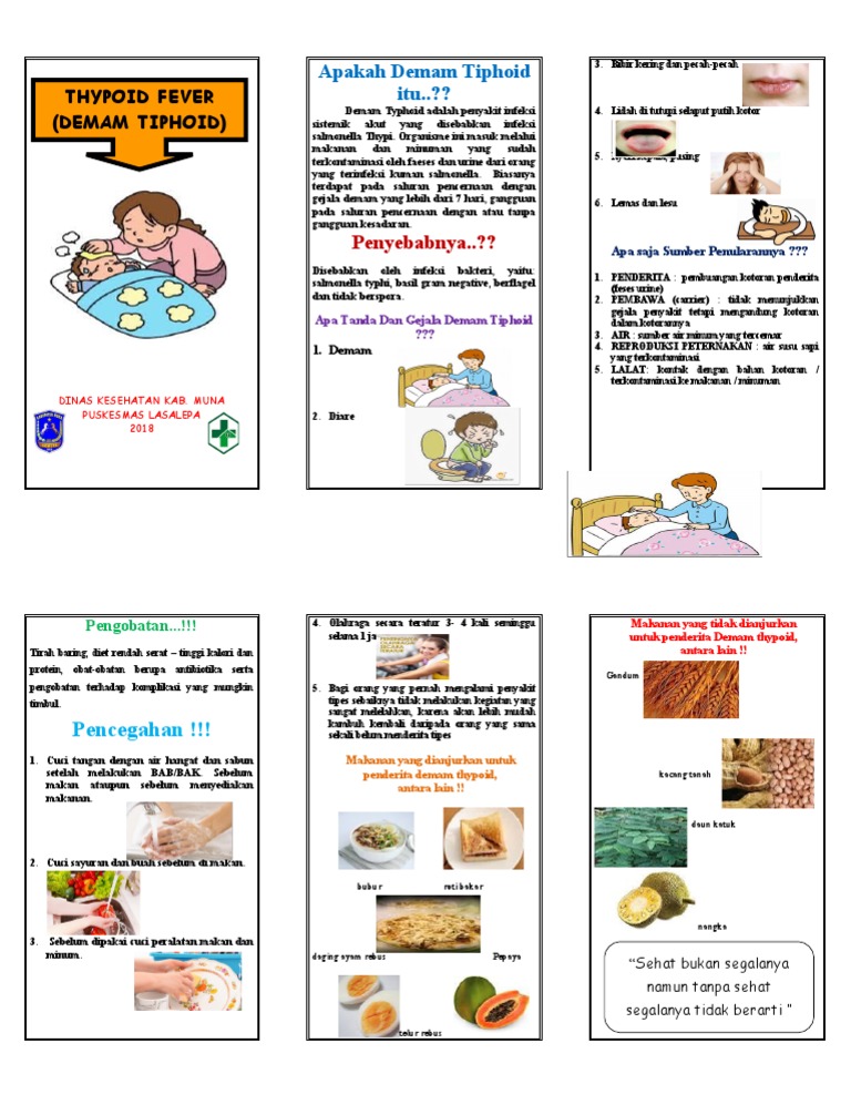 Leaflet Demam Thypoid | PDF