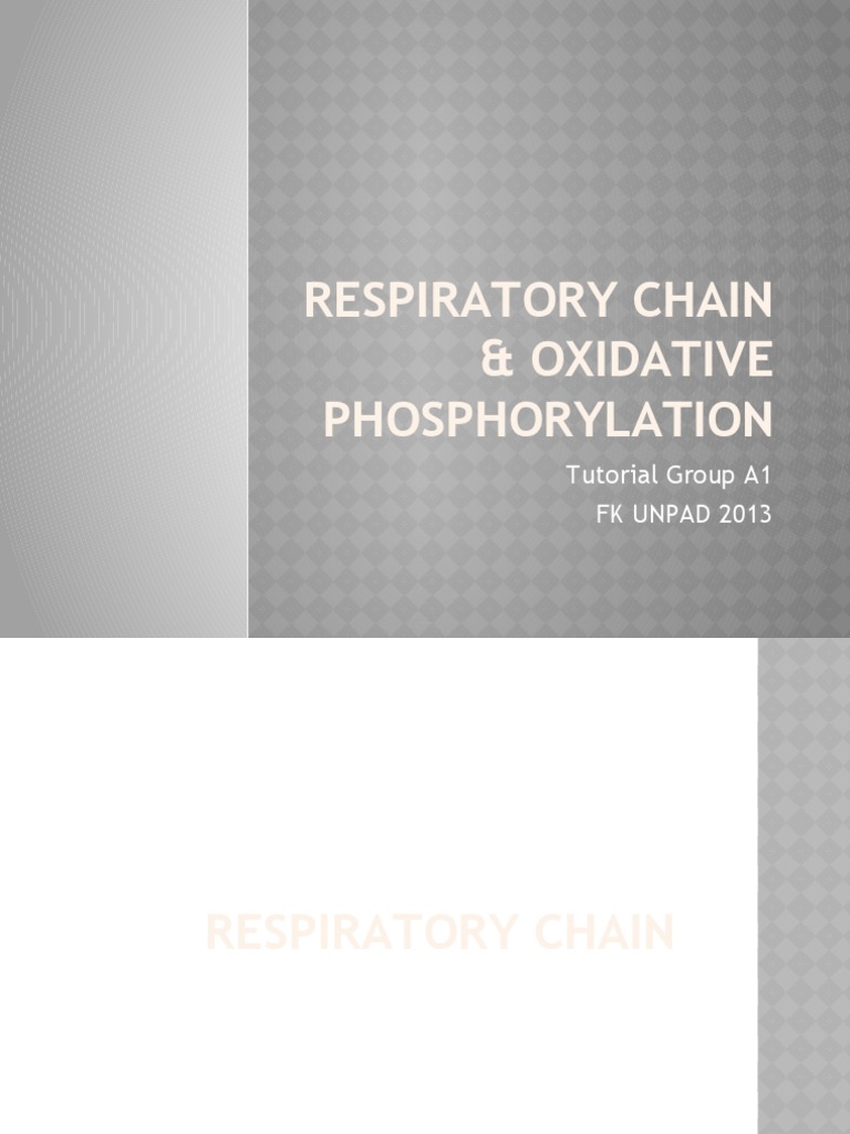 Respiratory Chain & Oxidative Phosphorylation | PDF | Electron ...