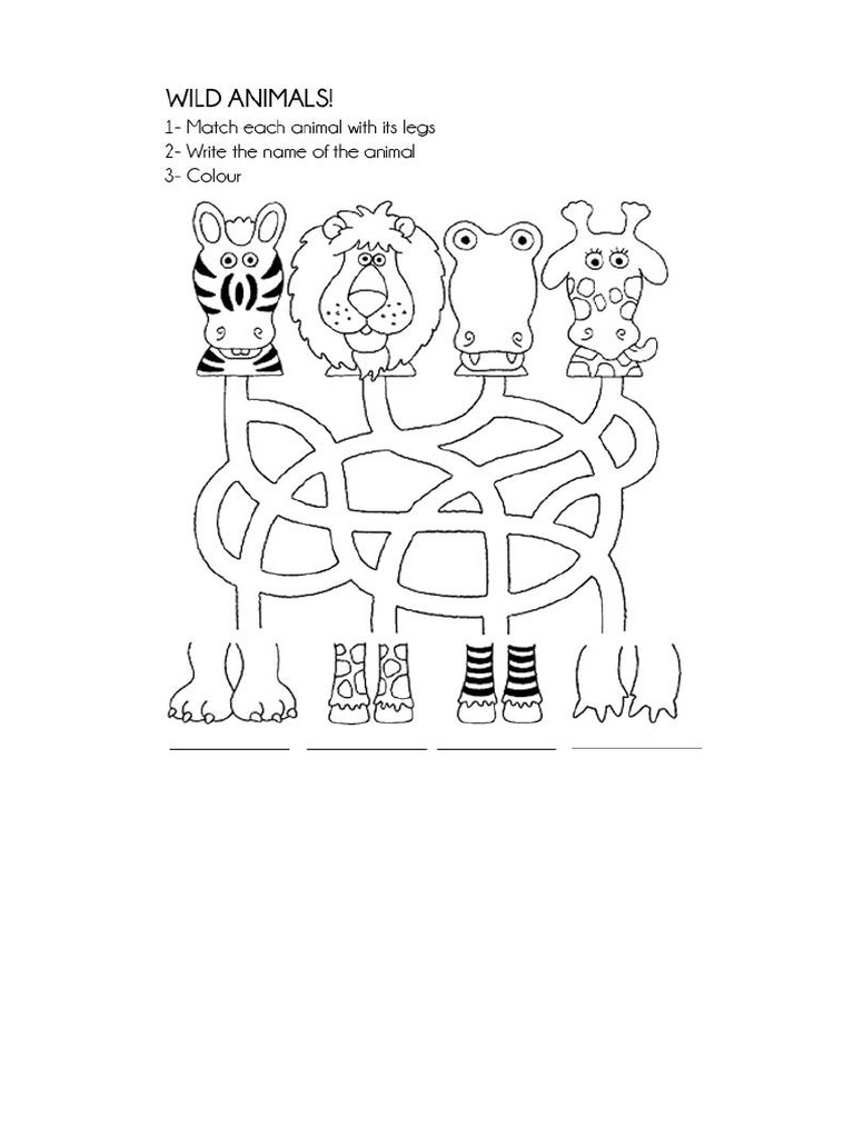 Wild Animals Fun Activities Games - 26869 | PDF