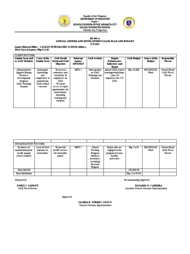 GAD Plan | PDF | Gender And Development | Health Sciences