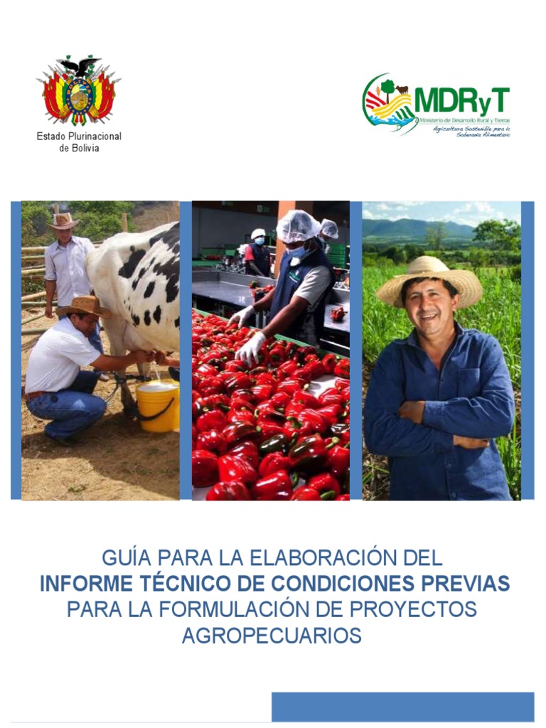 Guia ITCP | PDF | Diseño | Presupuesto