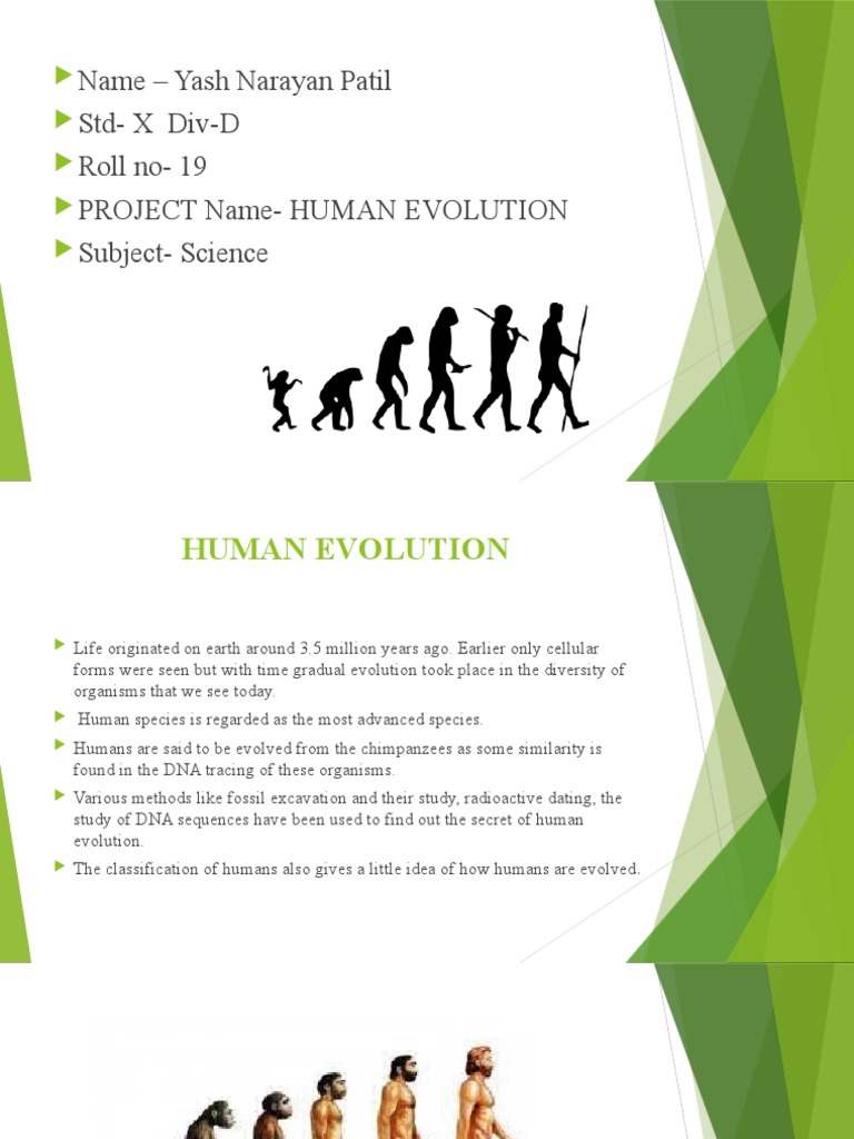 Human Evolution Project by Yash Narayan | PDF | Homo | Human Evolution