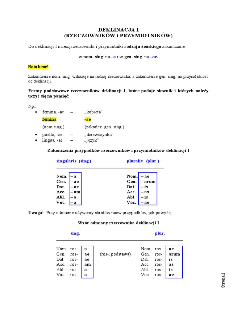 Deklinacja I Sinologia | PDF