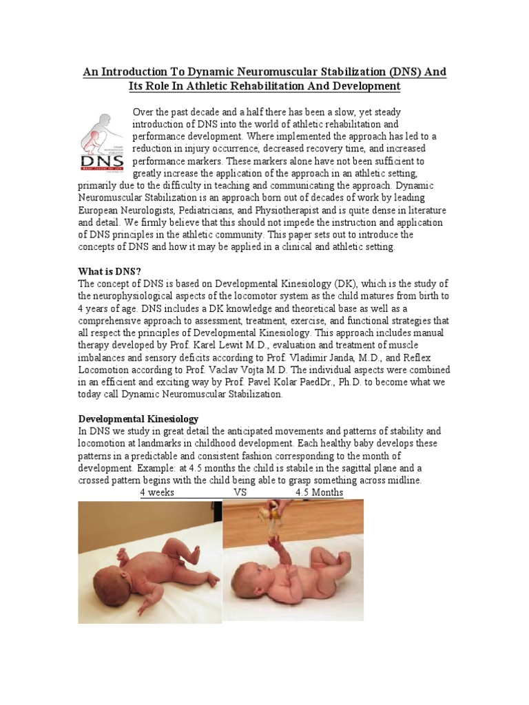 An Introduction To Dynamic Neuromuscular Stabilization | PDF | Medicine ...