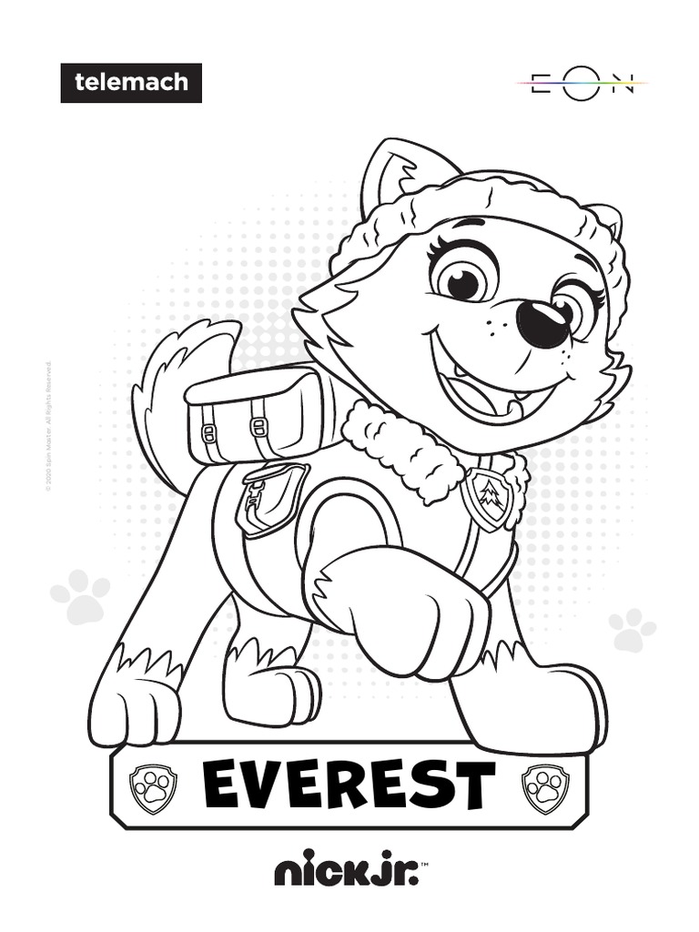 Paw Patrol Coloring | PDF