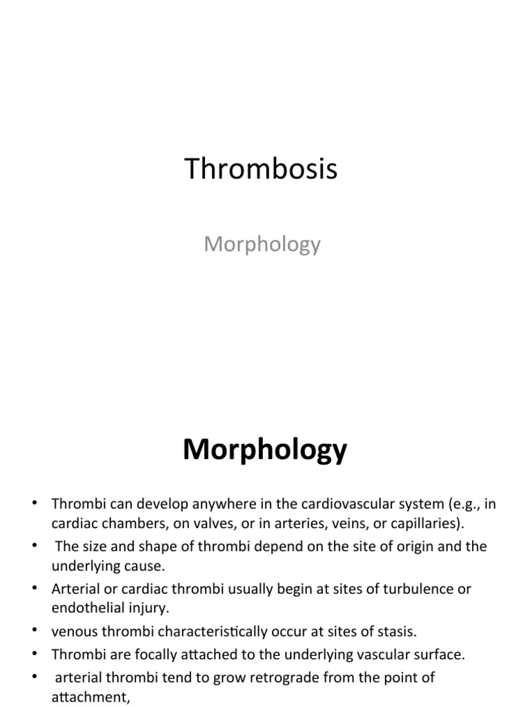 Thrombus Morphology and Pathogenesis | PDF | Thrombosis | Thrombus