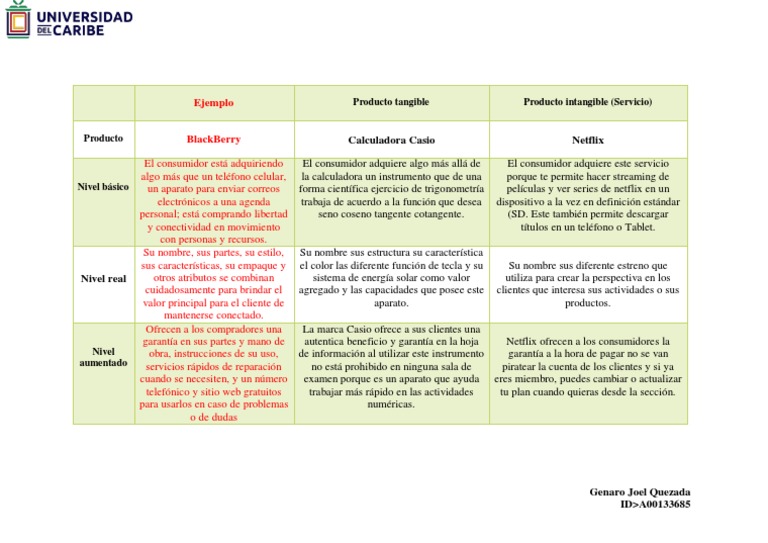 Quezada Genaro - Niveles Del Producto | PDF | Netflix | Los consumidores