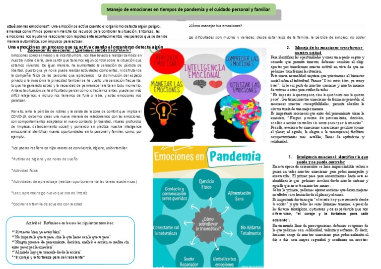 Manejo de Emociones | PDF | Las emociones | Aprendizaje