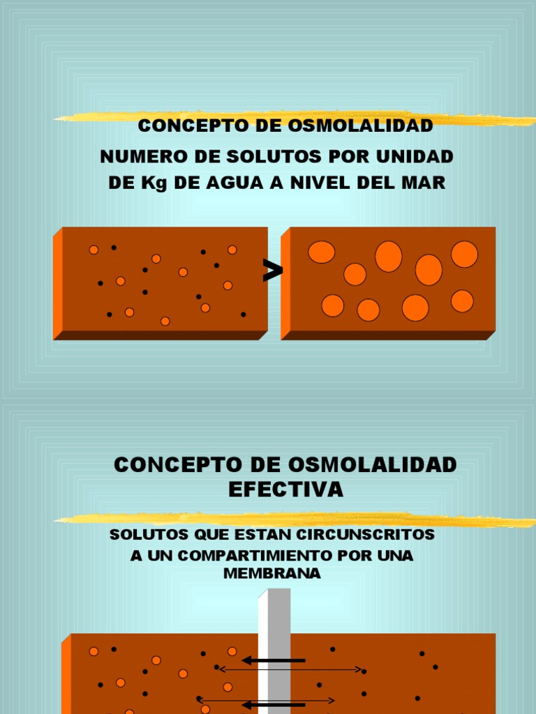 Conceptos de Osmolalidad e Hiperosmolalidad | PDF | Concentración ...
