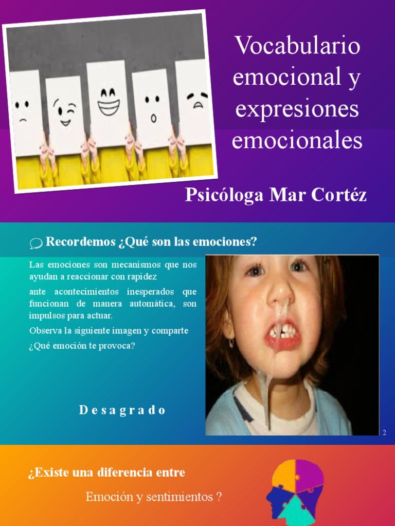 Vocabulario Emocional y Expresiones Emocionales | PDF