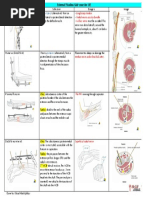 Upper Extremity X-Ray Positioning Guide | PDF | Elbow | Anatomical ...