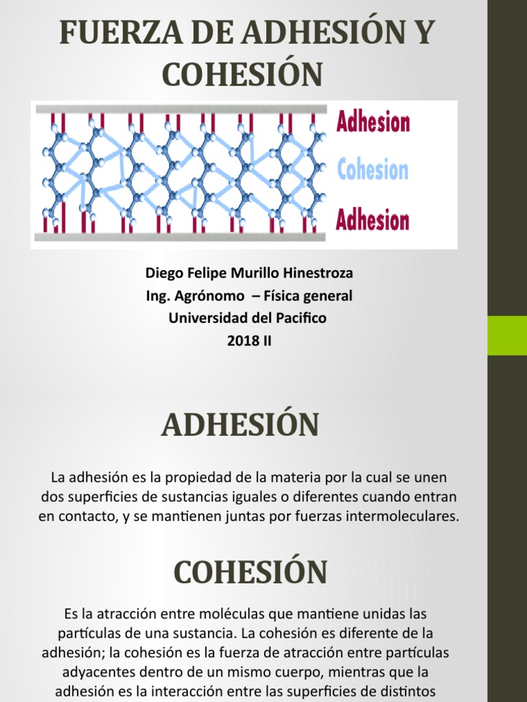 Fisica | PDF | Adhesión | Fases de la materia