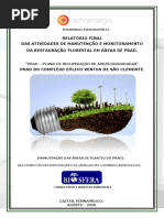 Modelo Do Prad Simplificado-Ativividade | PDF