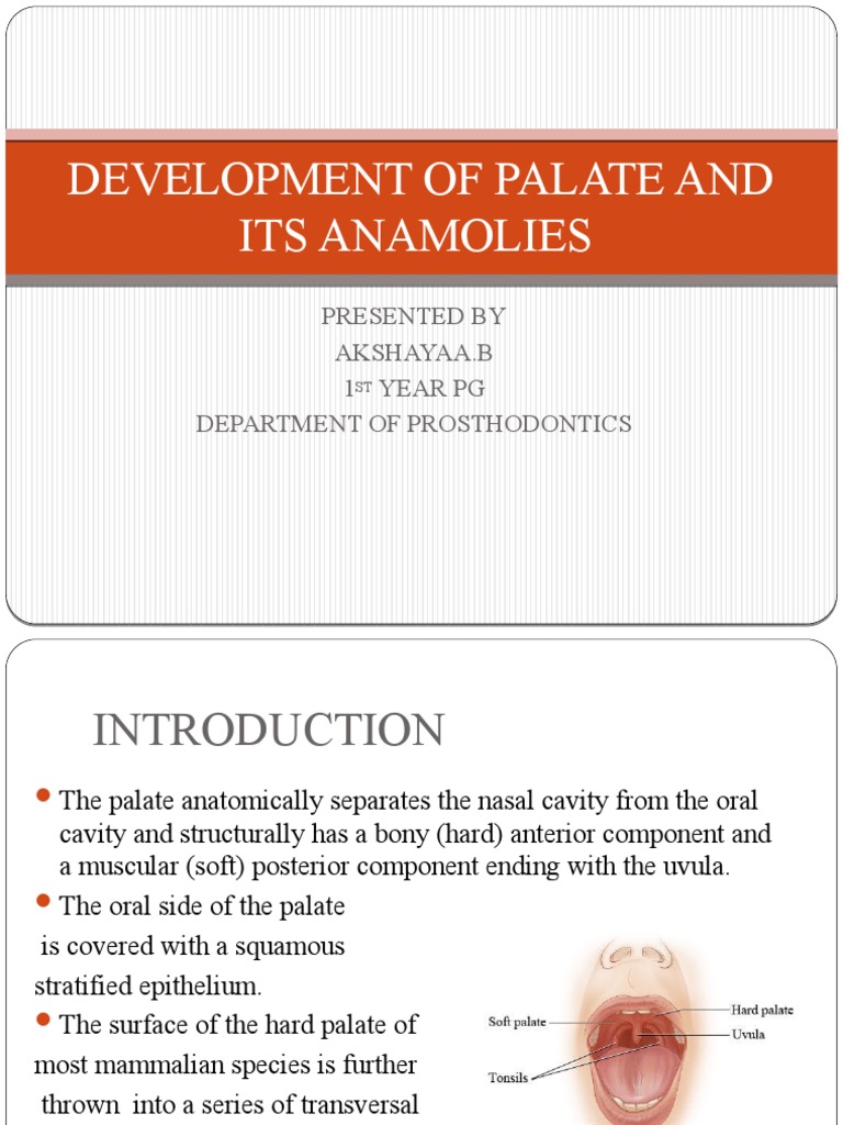Development of Palate and Its Anamolies | PDF | Epithelium | Anatomy