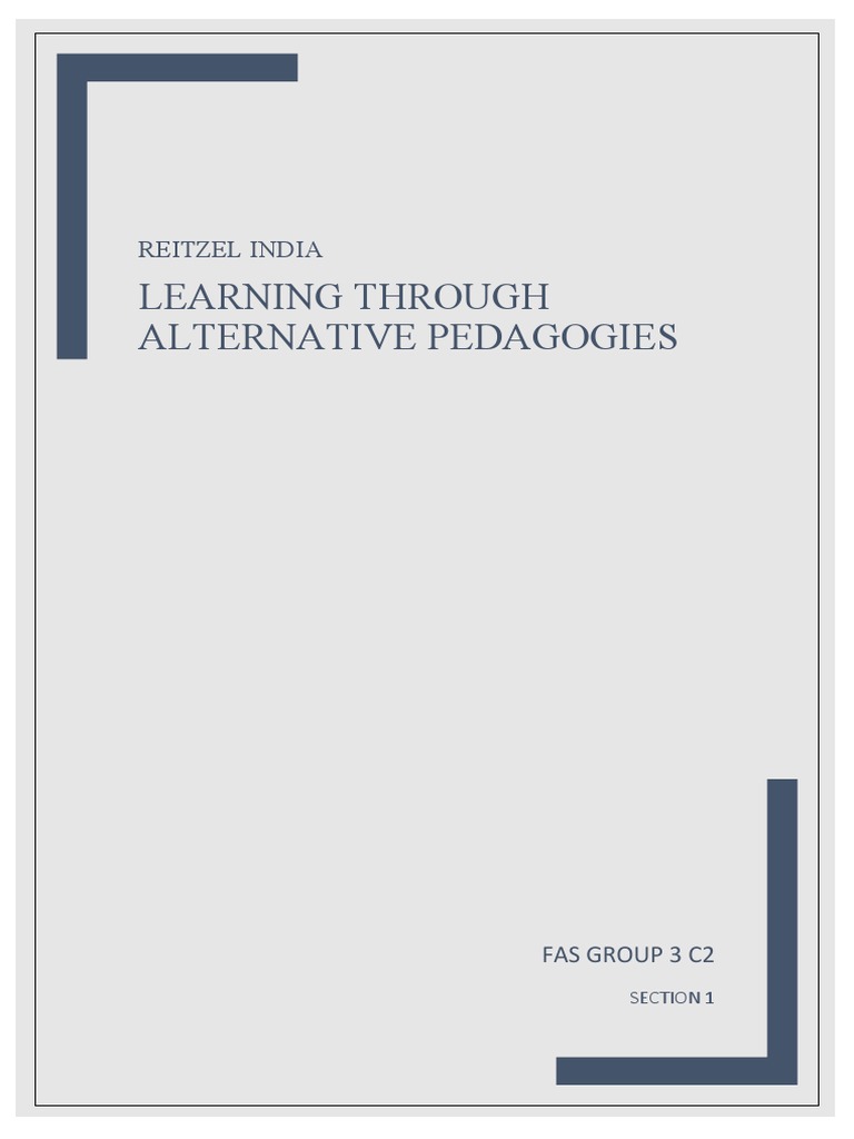 Strategizing Reitzel India's Entry Into the Indian Market Through B2C ...