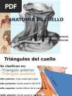 Anatomía y Músculos del Cuello | PDF
