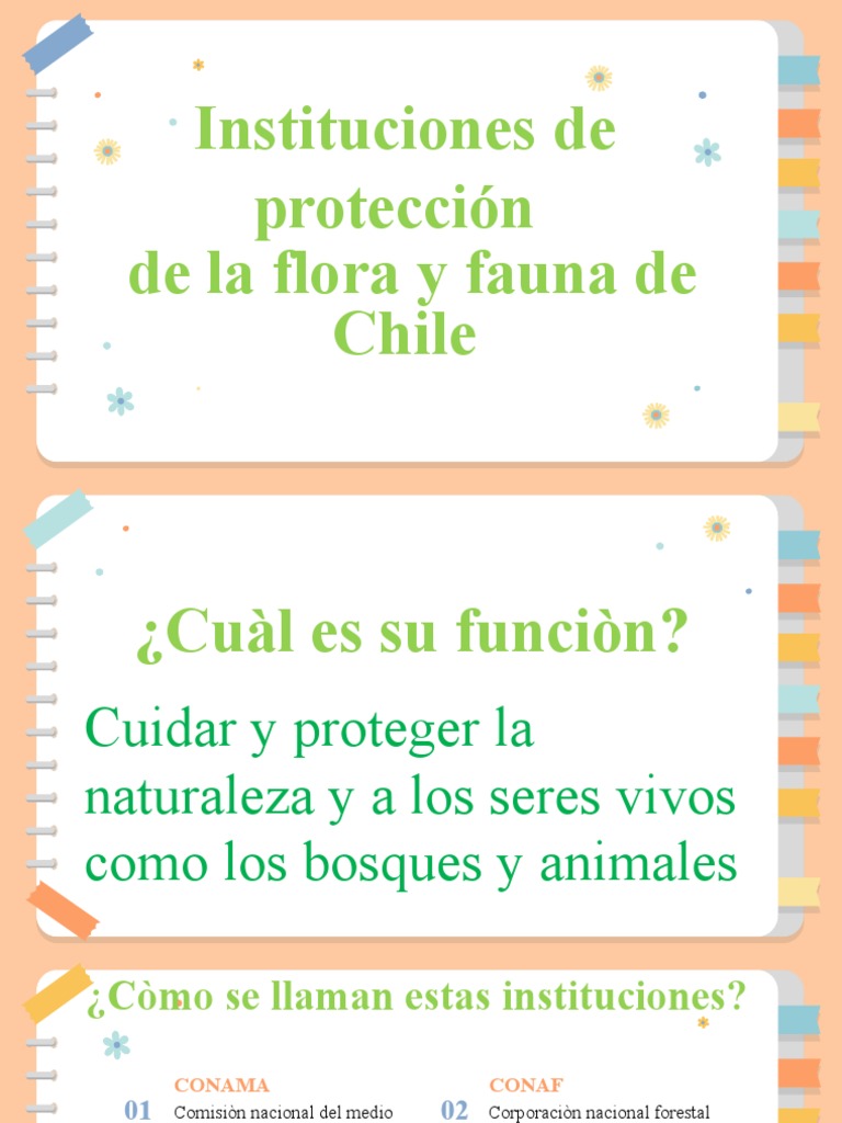Protección de flora y fauna en Chile | PDF