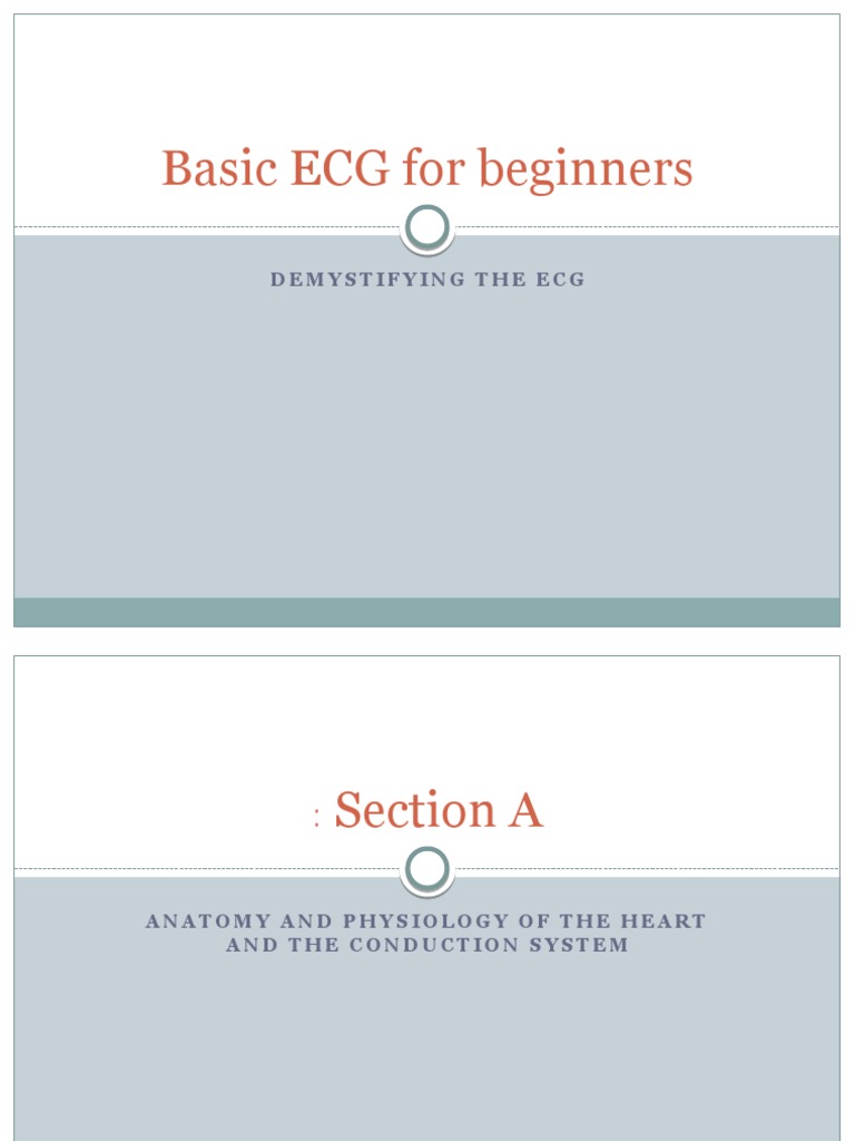 Basic ECG For Beginners | PDF | Coronary Circulation | Electrocardiography